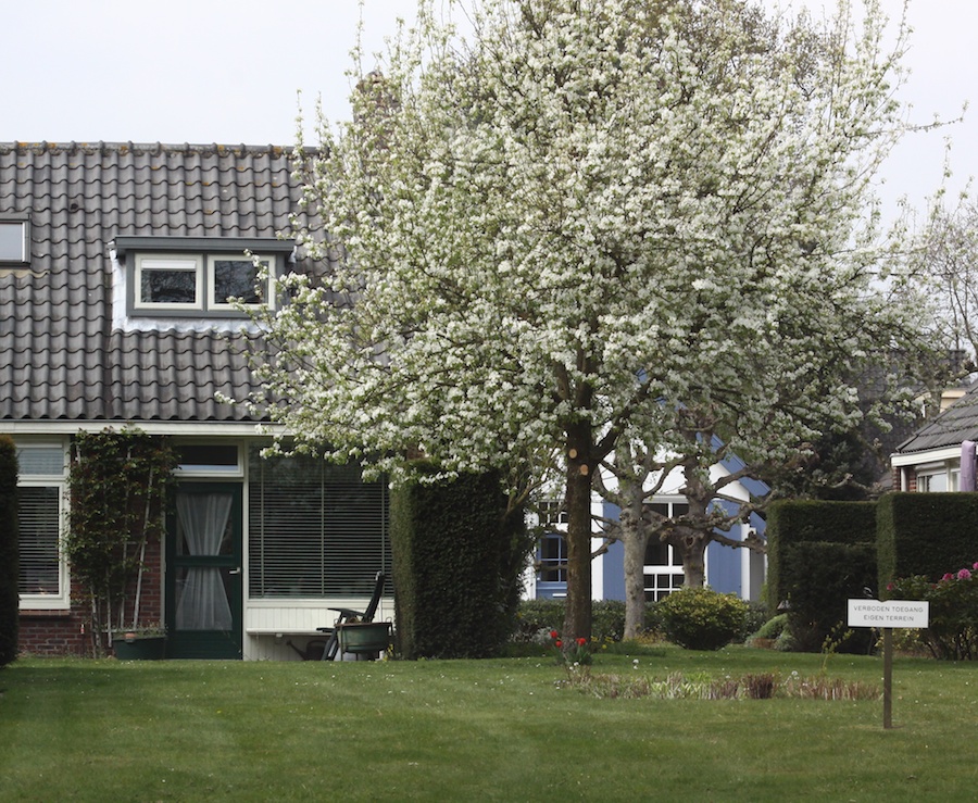 Ken uw dorp (64) – Oog op Blaricum