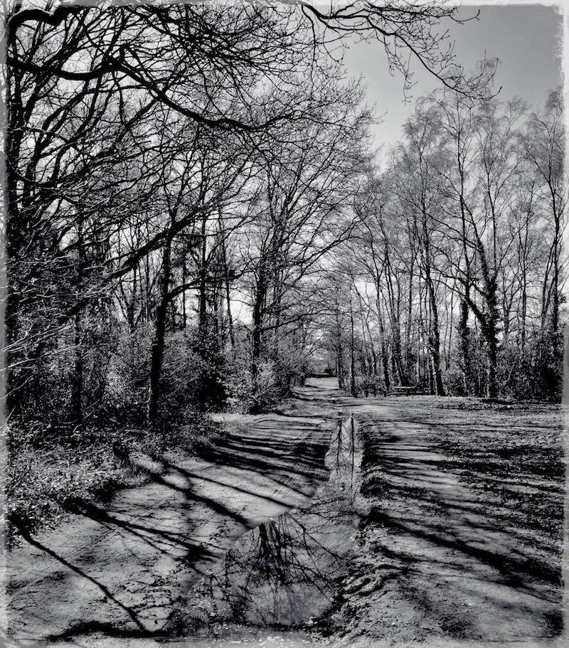 Welke weg? – Oog op Blaricum