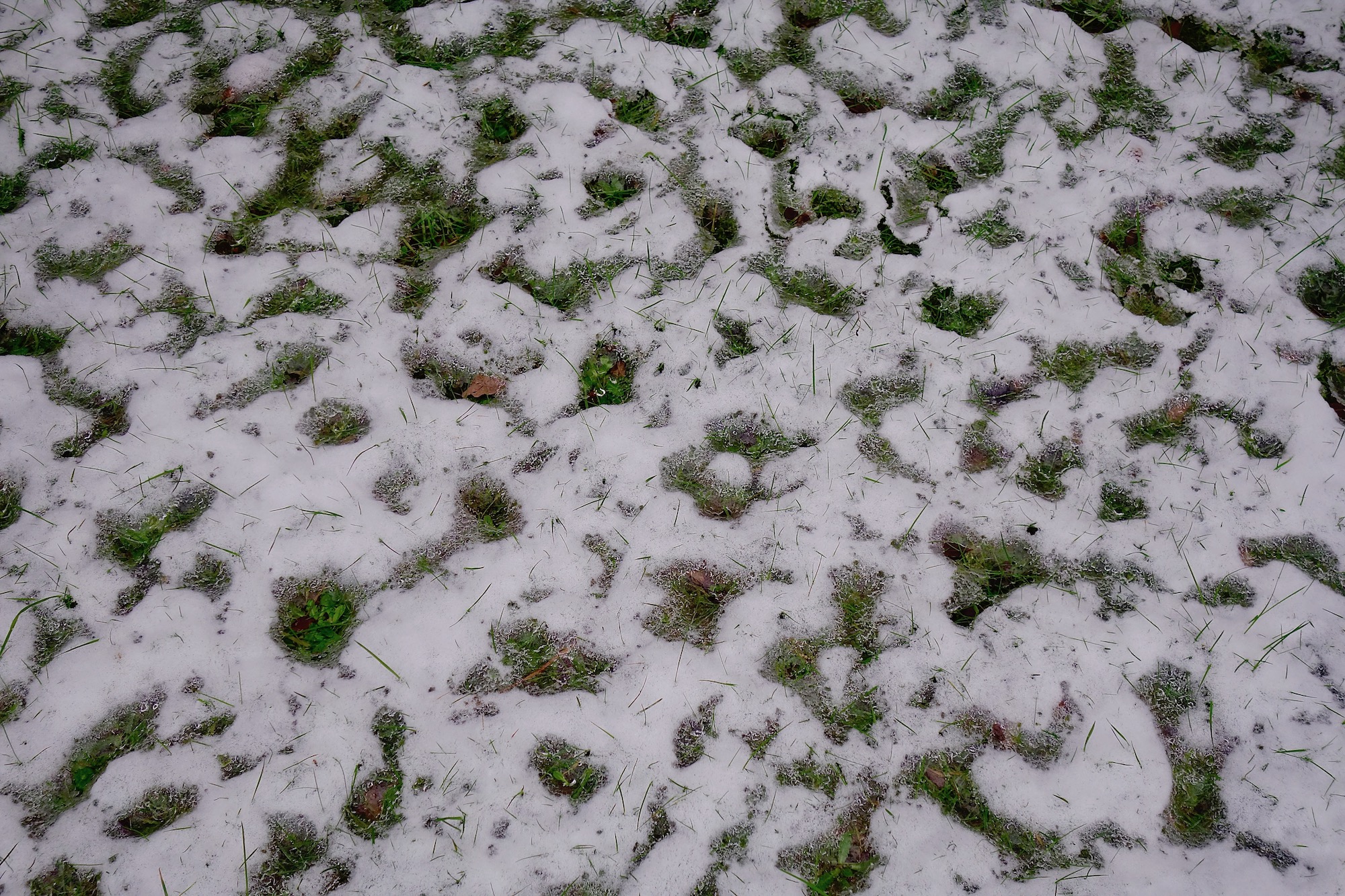 Dooi – Oog op Blaricum